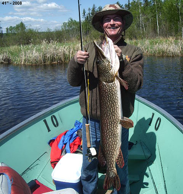 Monster Northern Pike Photos